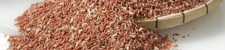 Red Bubble Tea - Edmark