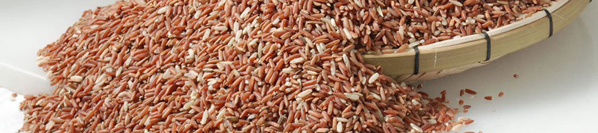 Red Bubble Tea - Edmark