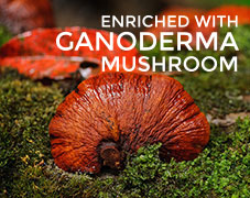 Edmark Mocha - Edmark