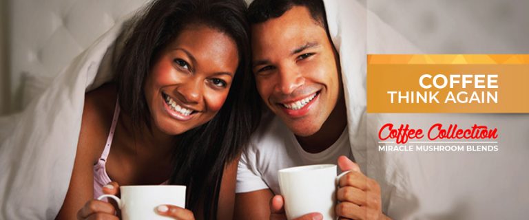 Edmark Mocha - Edmark